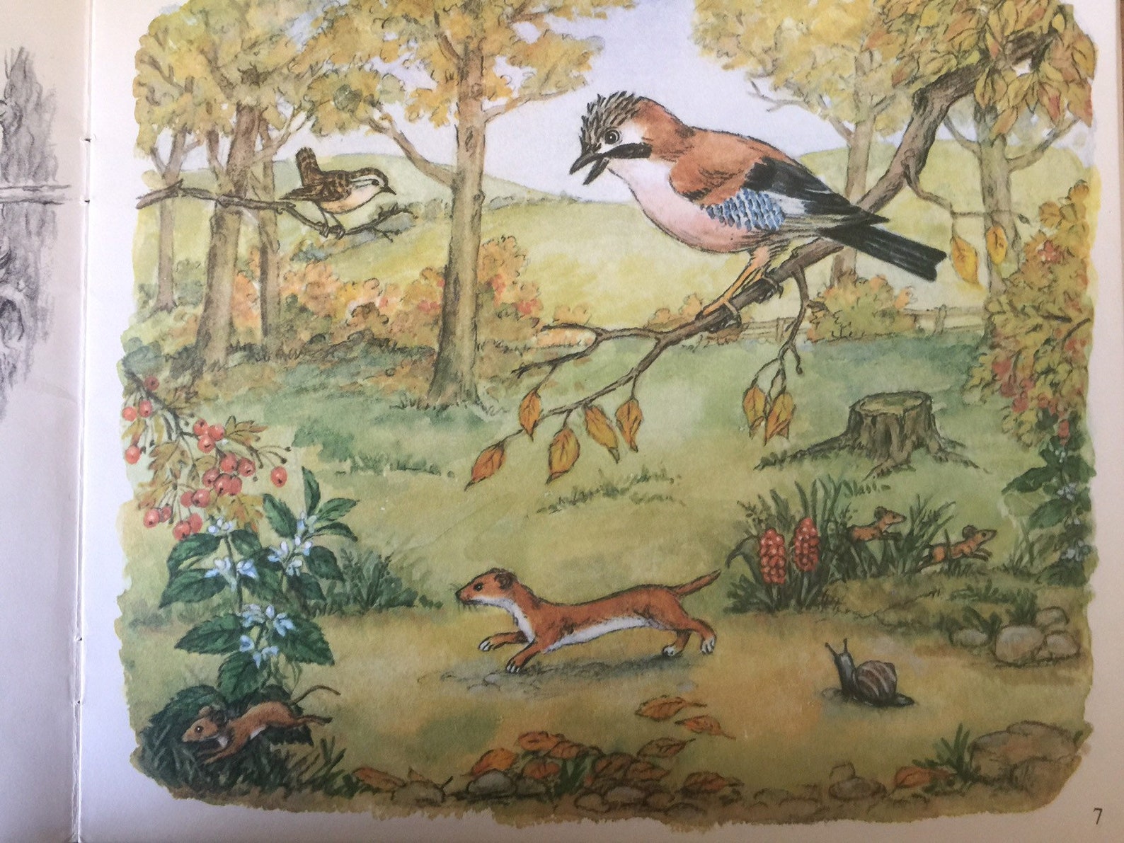 RARE Vintage 1978 'richard Rabbit Goes Boating' by | Etsy