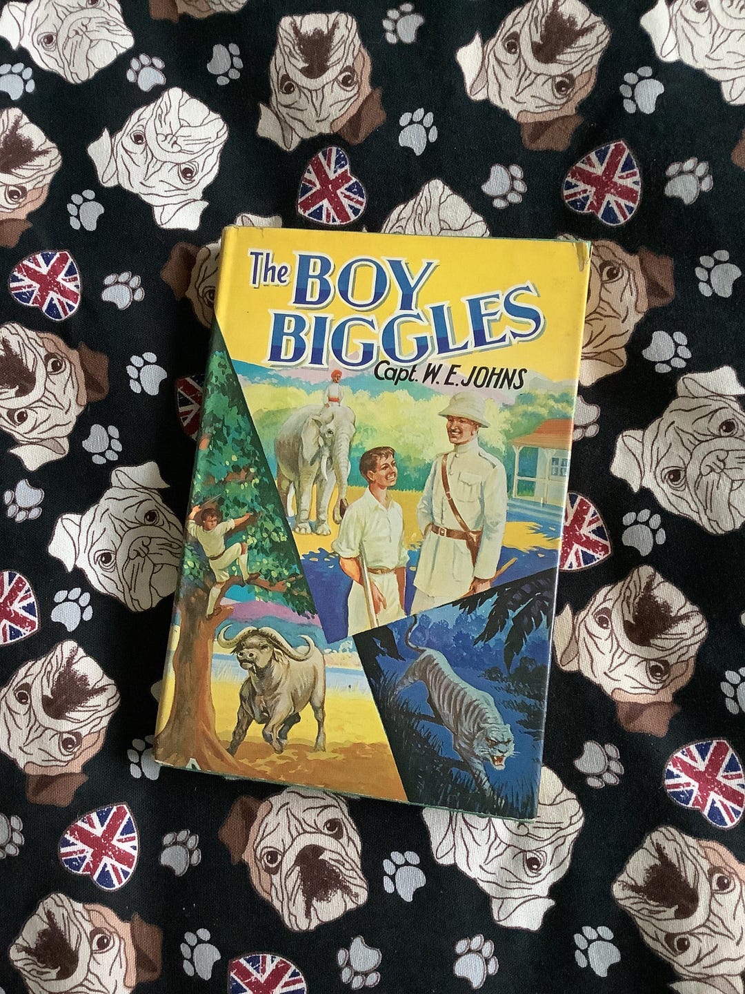 Vintage 1968 Capt. W. E. Johns 'the Boy Biggles' Book in Hardback ...