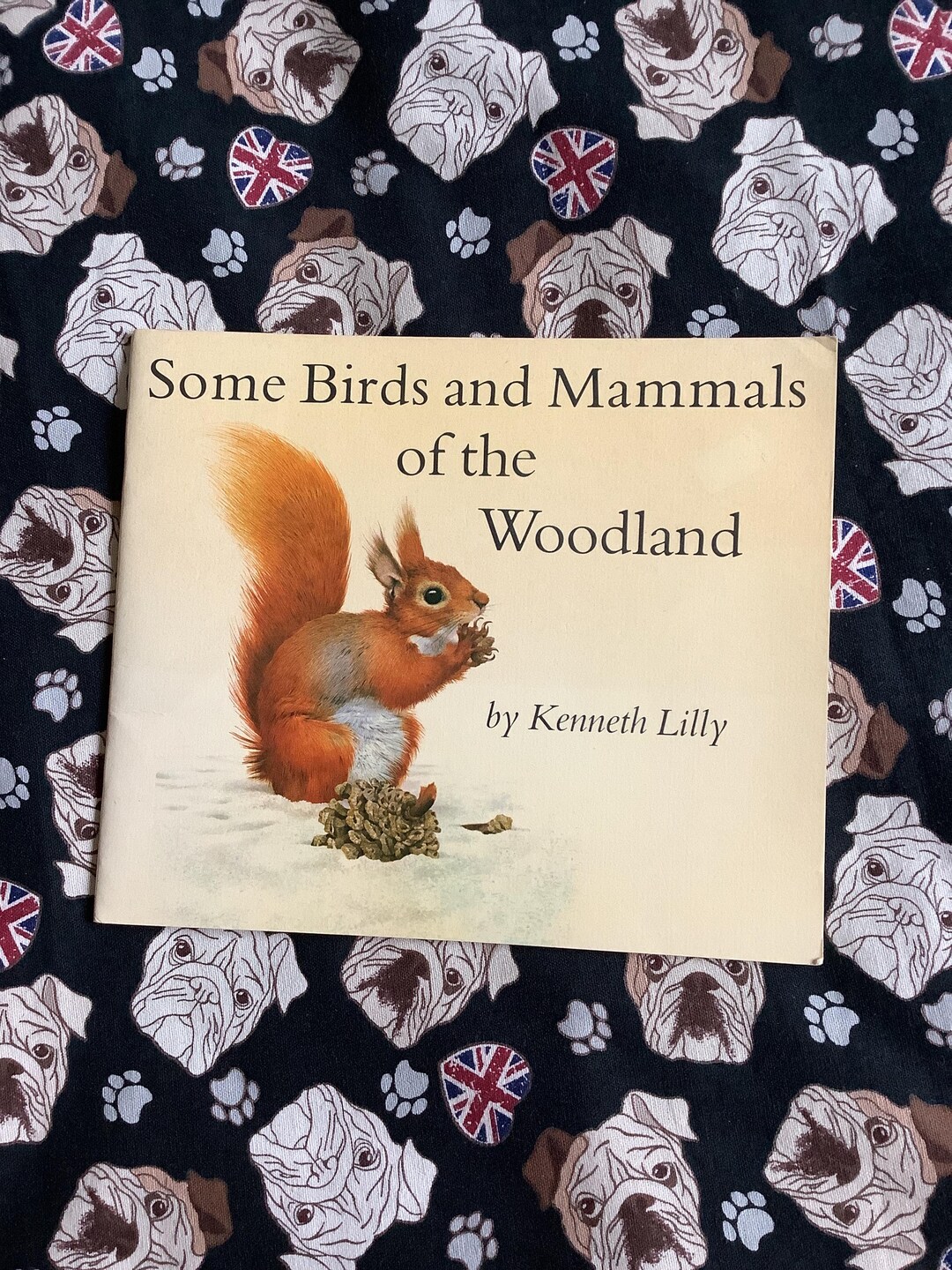 RARE Vintage 1978 'some Birds and Mammals of the Woodland' Paperback ...
