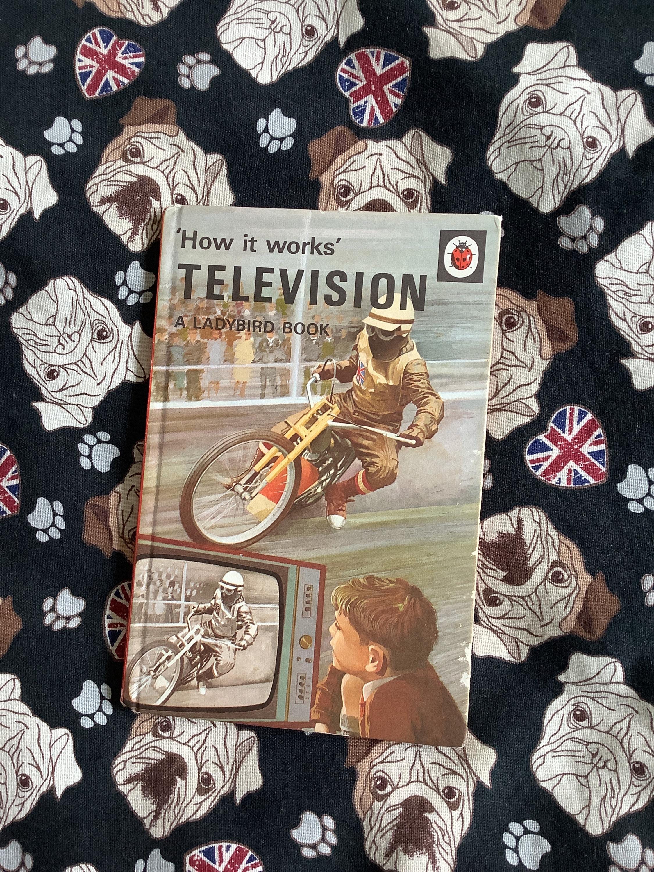 RARE 1970s Vintage How It Works … Ladybird Book 'television ...