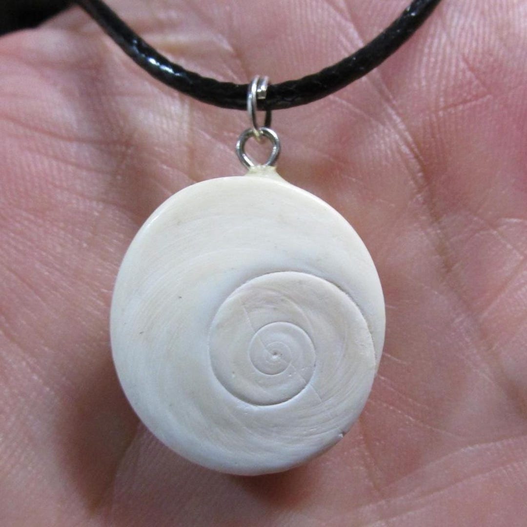 Shiva Shell 19" Necklace: Eye of St. Lucia Charm, Black Cord - Etsy
