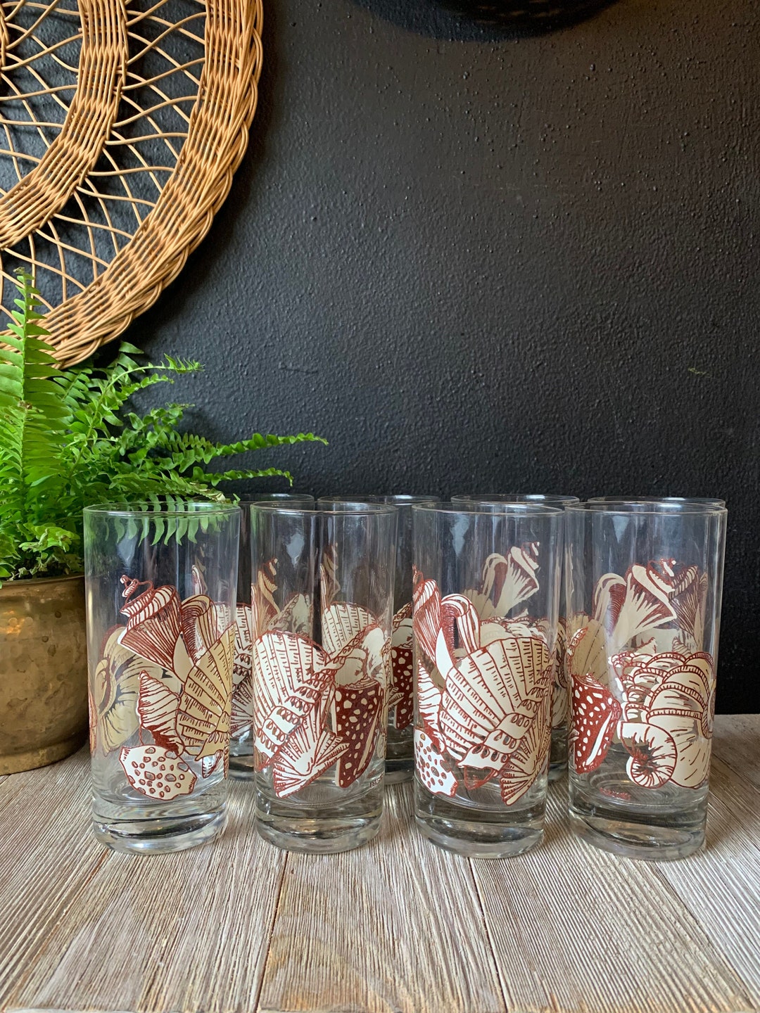 Vintage Sigma Seashell Glass Tumblers | Set of 8 | Coastal Glassware ...