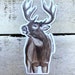 Die Cut Buck Sticker - Etsy