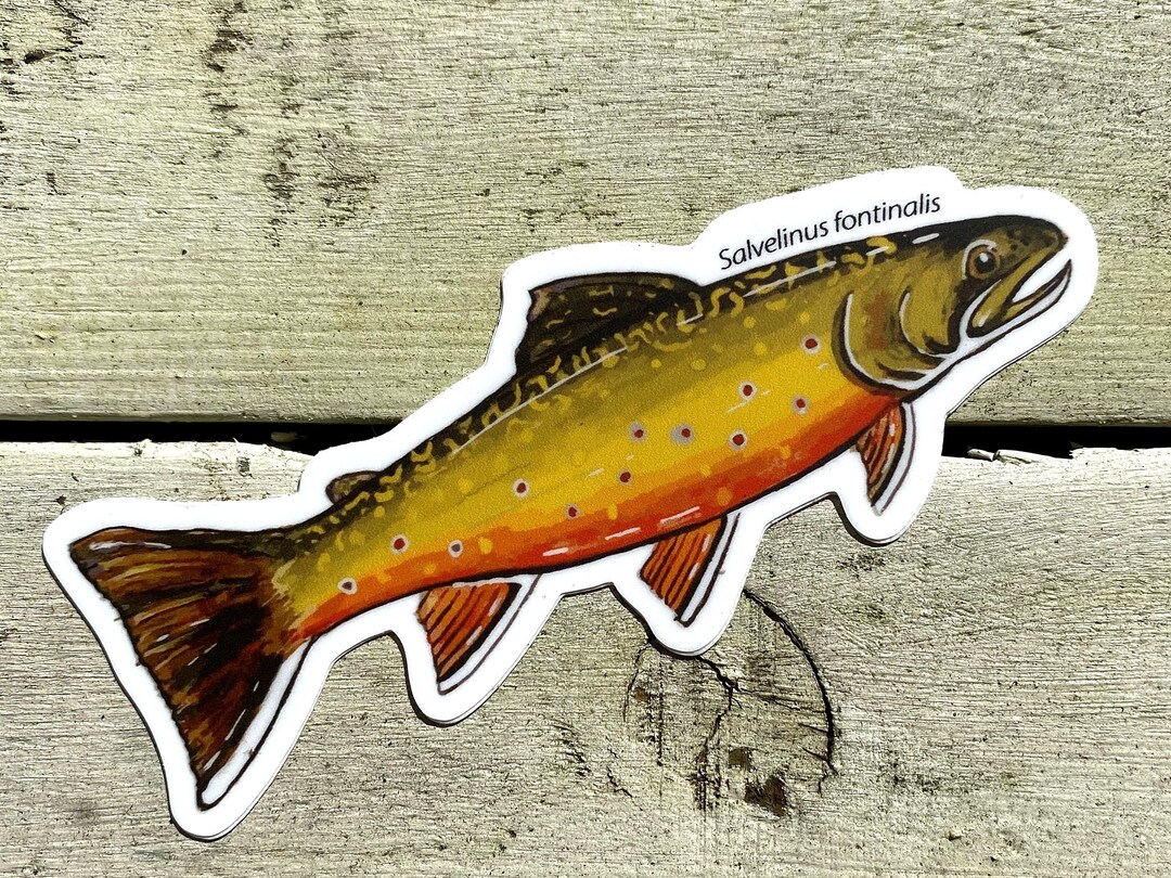 Die Cut Brook Trout Sticker - Etsy
