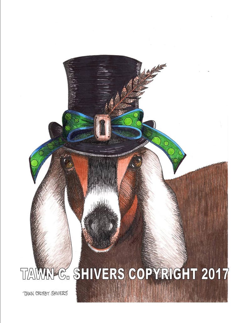 Goat Portrait, Billy Goat, Hand Drawn, Top Hat, Barn Yard Animal ...