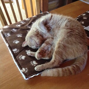 Self Warming Cat Mat Orange Yellow Black Calico Tabby Kittens - Etsy