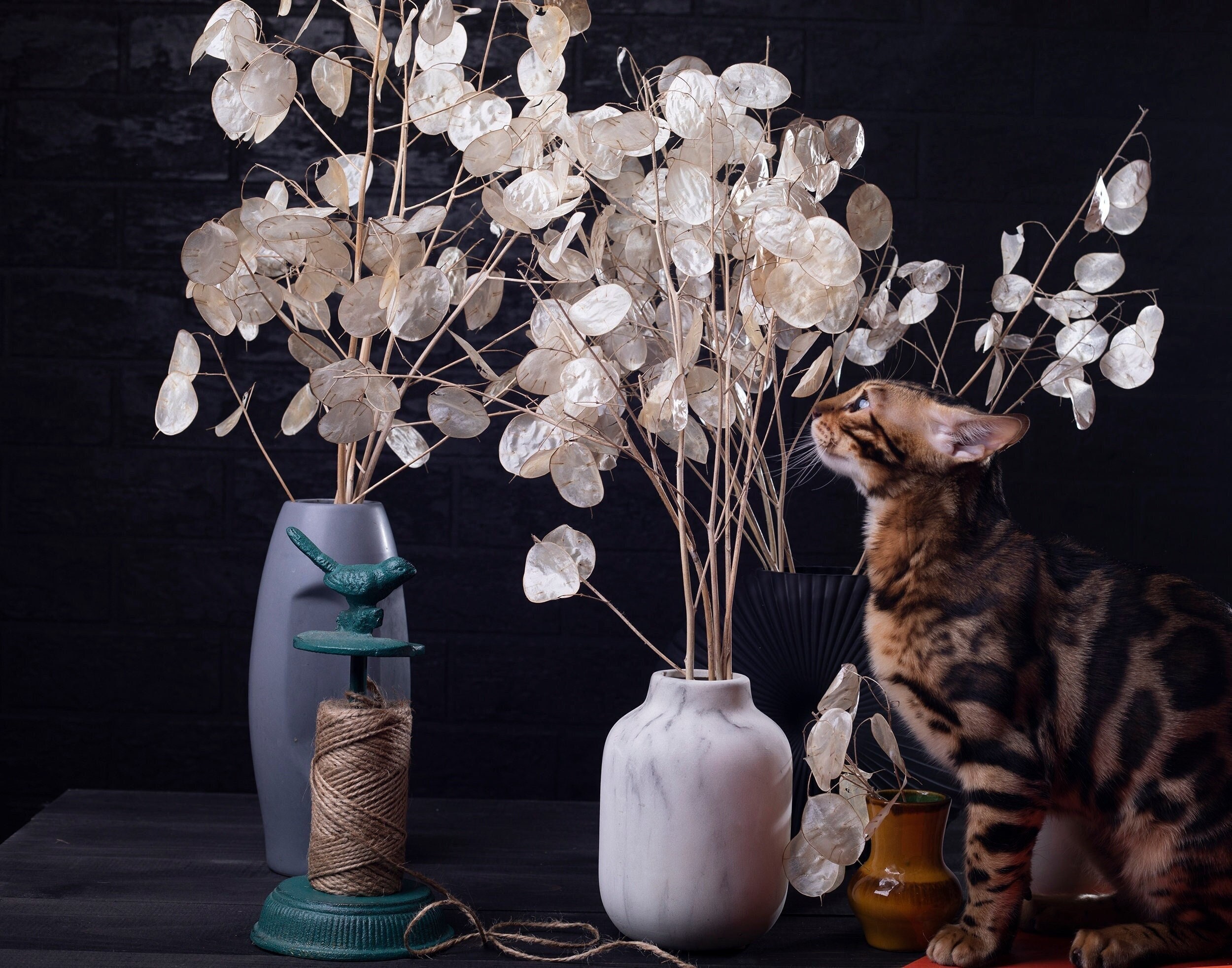 Lunaria Branches, Choose Your Set Bouquet of Dry Money Plant, Silver ...