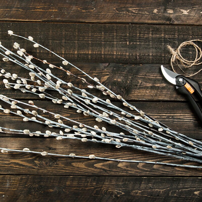 Willow Branches - Etsy