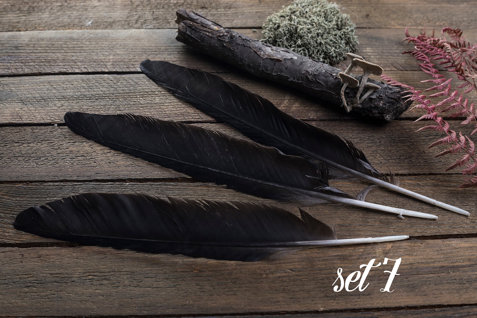 Cuervo negro 3 plumas magia brujería. Vertimiento natural. - Etsy España