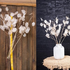 Lunaria Branches, Choose Your Set Bouquet of Dry Money Plant, Silver ...