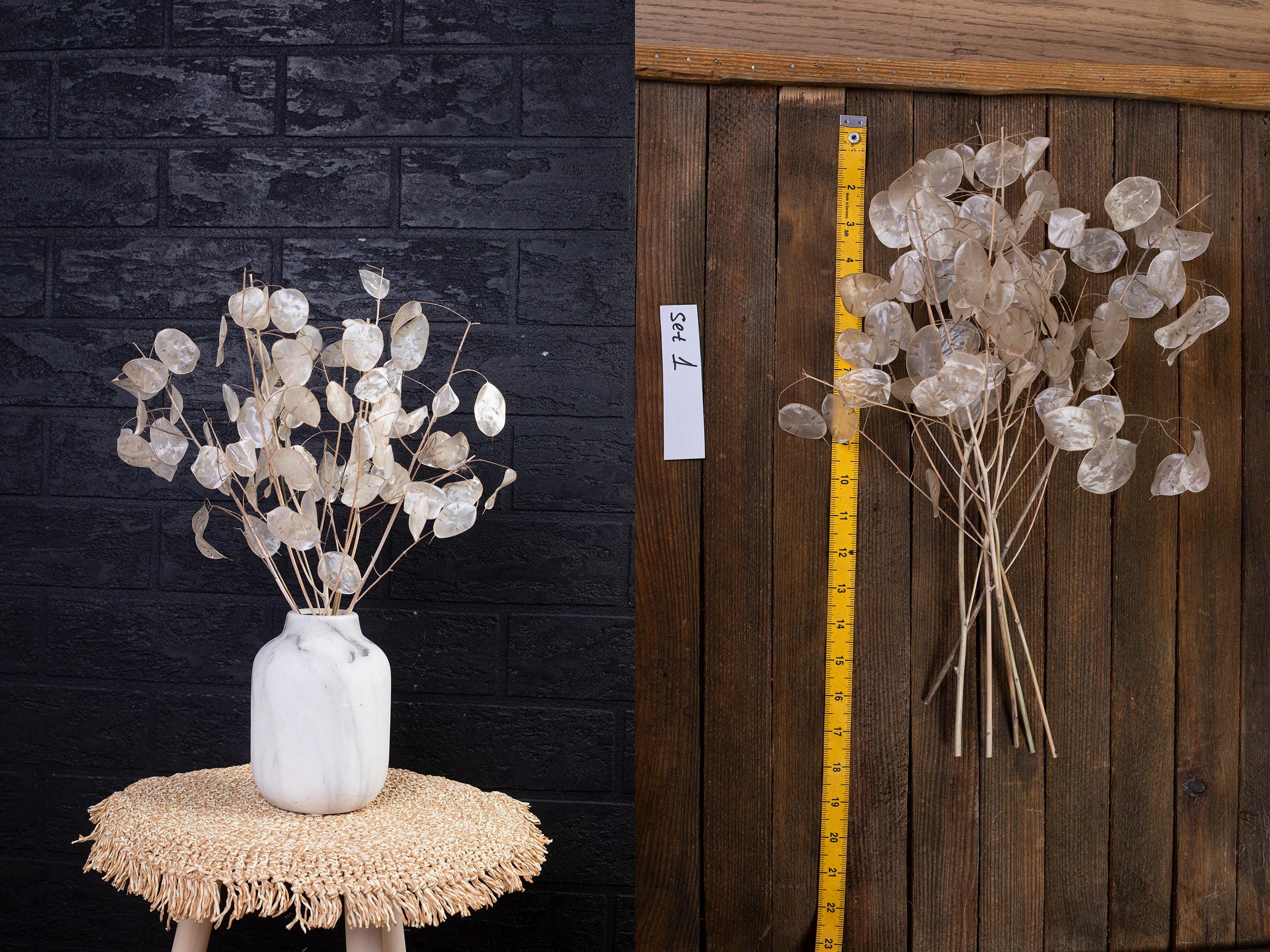 Lunaria Branches, Choose Your Set Bouquet of Dry Money Plant, Silver ...