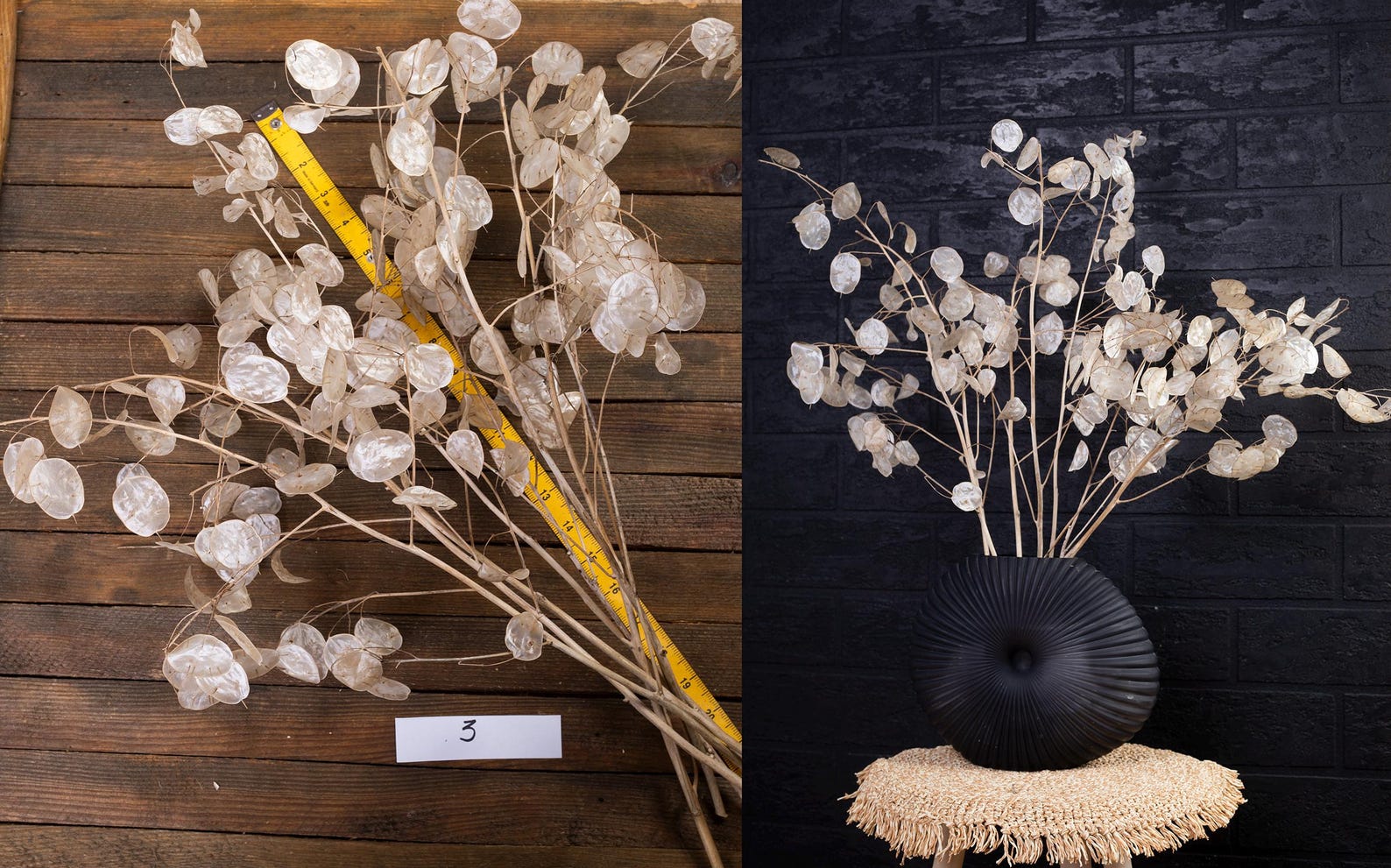 Lunaria Branches, Choose Your Set Bouquet of Dry Money Plant, Silver ...