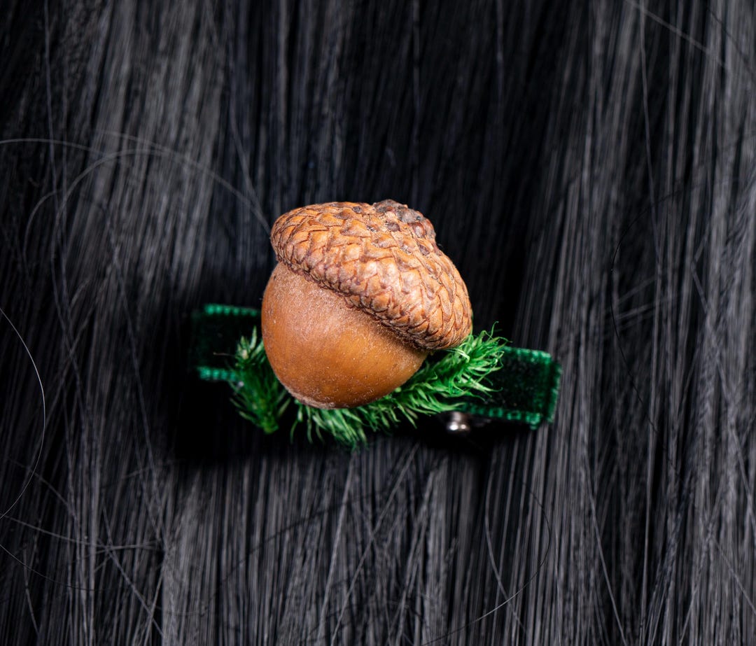 Whimsical Real Acorn & Moss Hair Clip for Kids Woodland Cottage-core ...