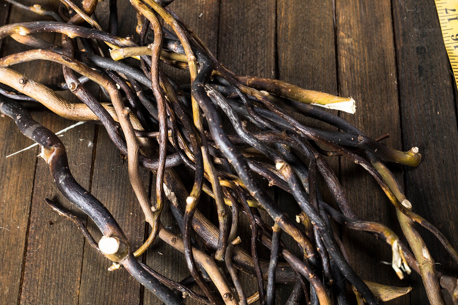 Corkscrew Curly Willow Dried branches Country wedding | Etsy