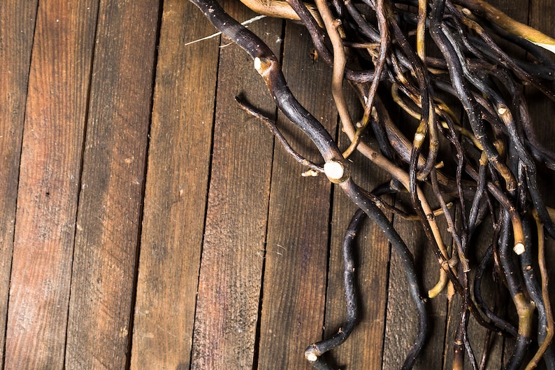 Corkscrew Curly Willow Dried branches Country wedding | Etsy