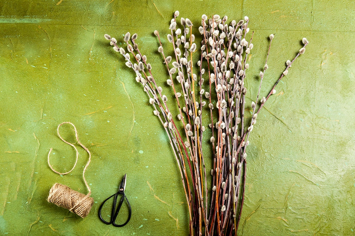 Dried Pussywillow Branches 1113 Pussy Willow - Etsy