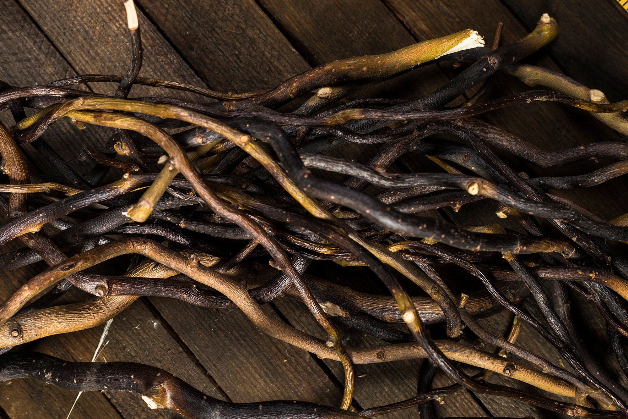 Corkscrew Curly Willow Dried branches Country wedding | Etsy