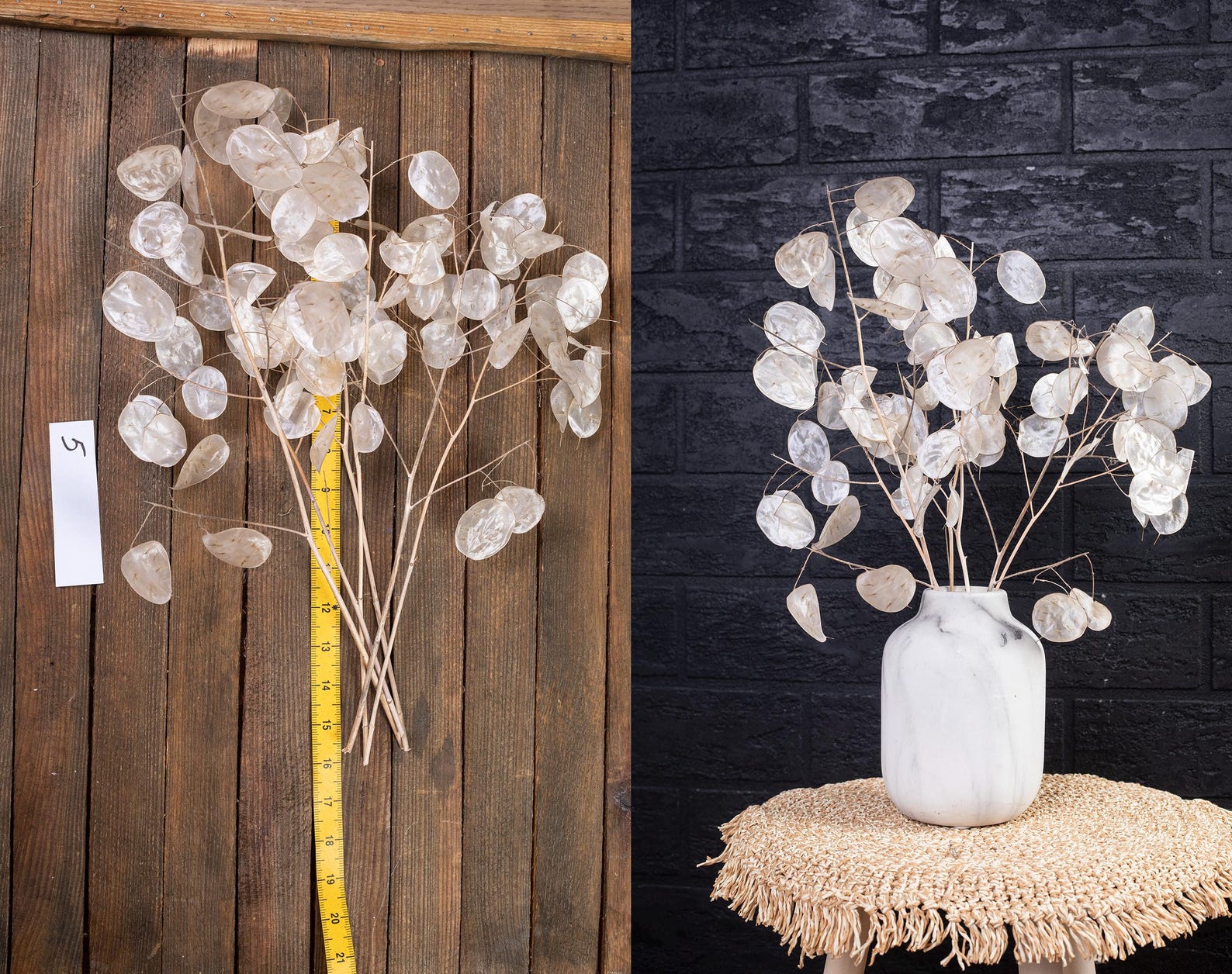 Lunaria Branches, Choose Your Set Bouquet of Dry Money Plant, Silver ...