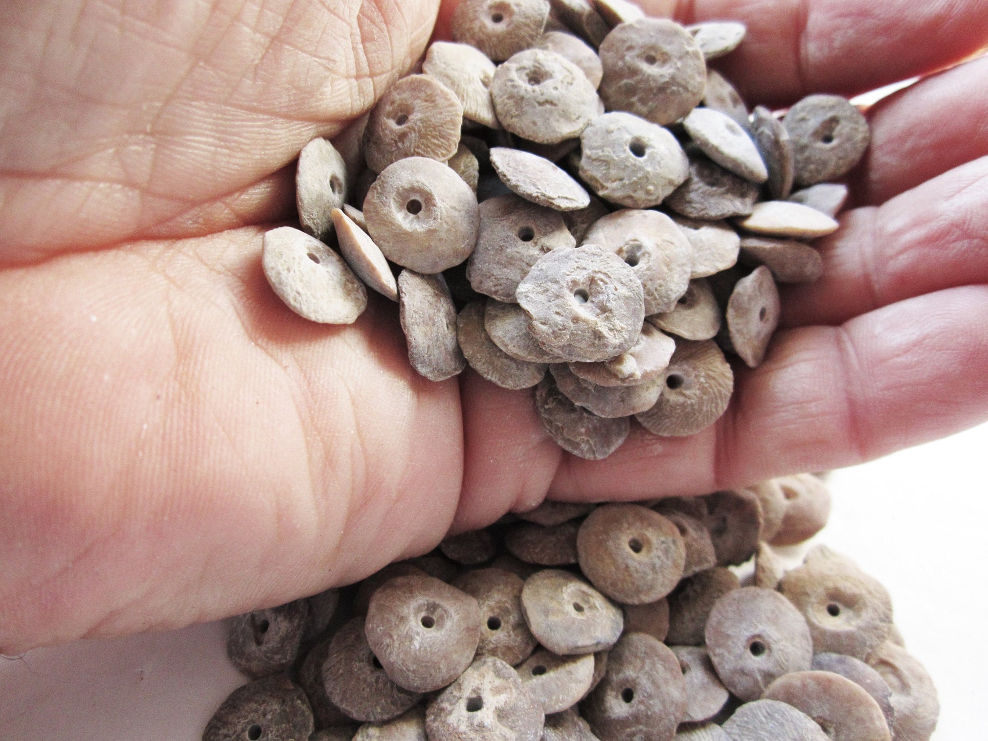 20 Ancient Neolithic Fossil Coral Disc Beads up to Several Thousand ...