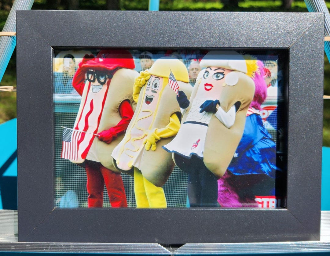 2024 Cleveland Guardians Hot Dogs Framed 5x7 Picture - Etsy