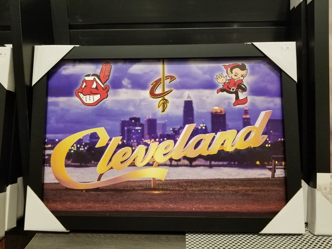 Cleveland Sports Skyline//big Picture Cleveland// - Etsy