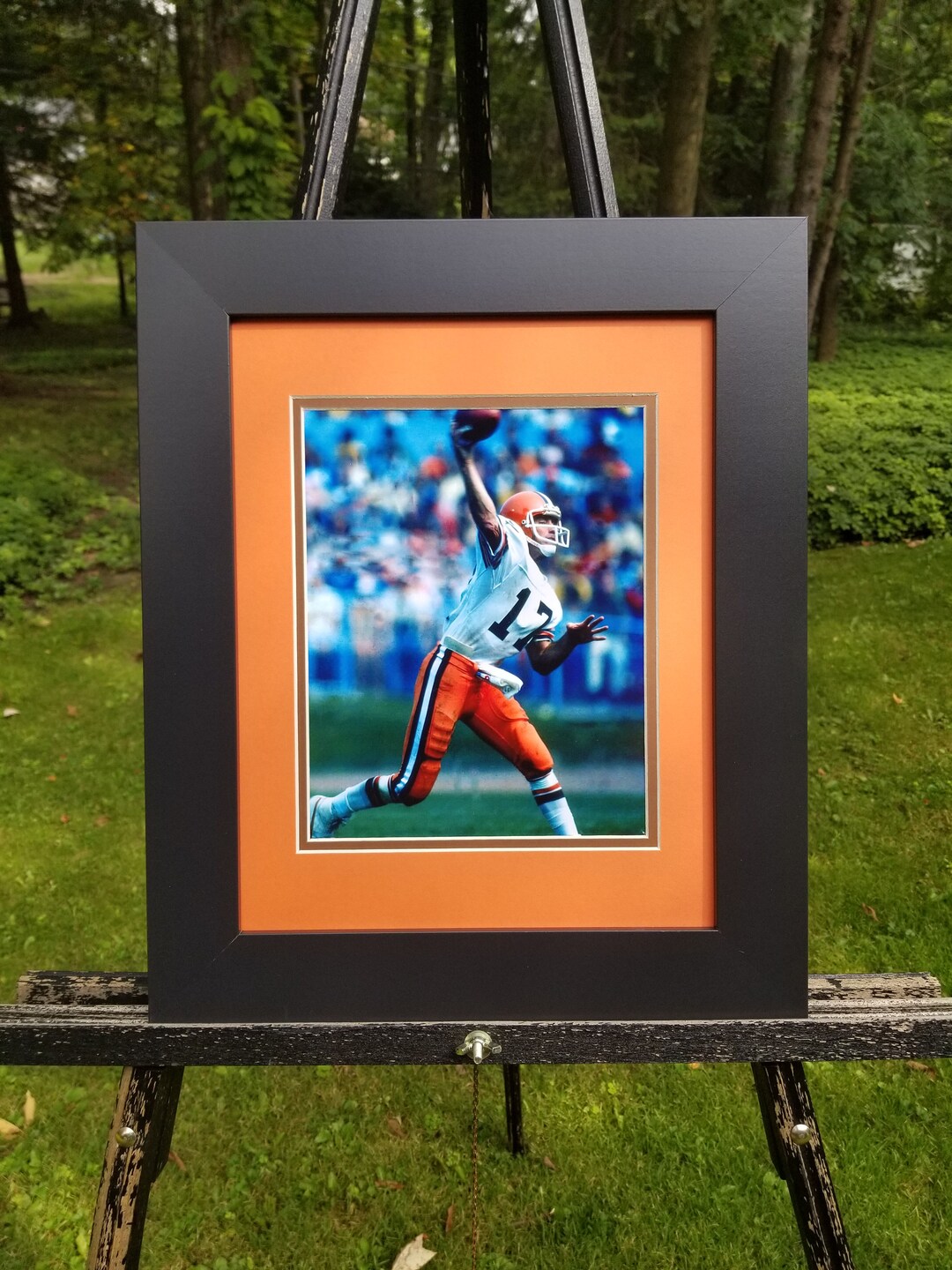 Brian Sipe // Cleveland Browns//big Picture Cleveland//11x14 - Etsy