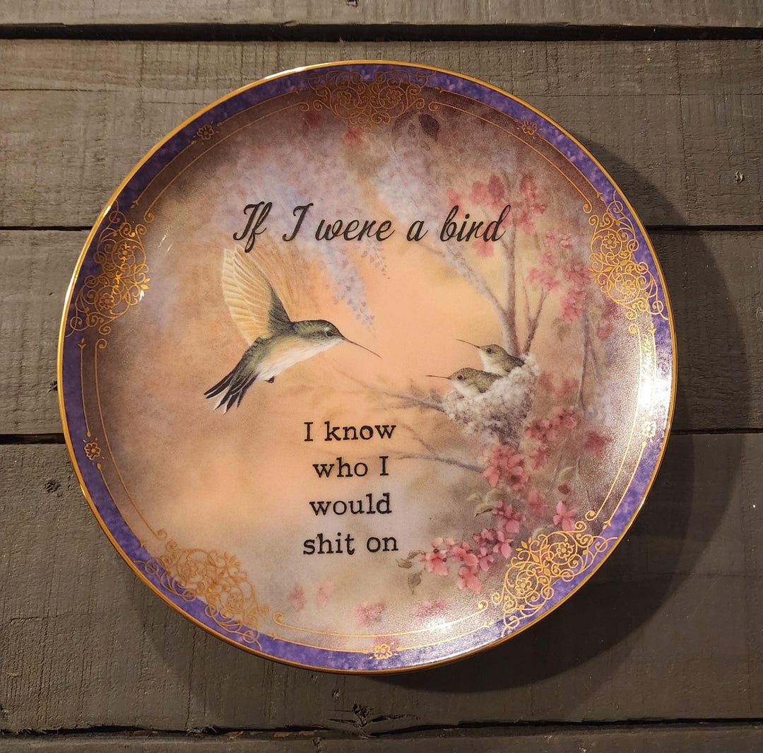 Upcycled Vintage Swear Plate If I Were a Bird I Know Who I Would Shit ...