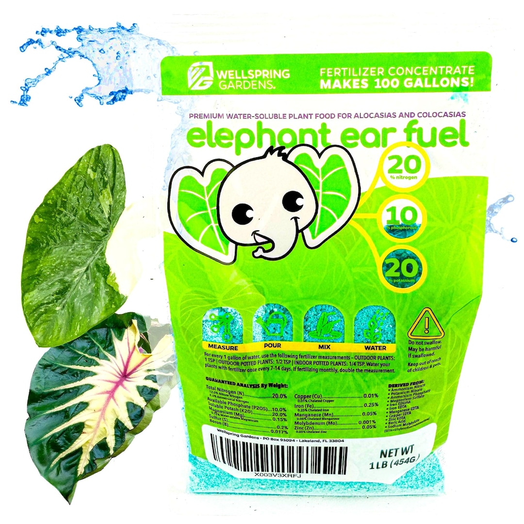 Elephant Ear Fuel Plant Fertilizer - Water-soluble 20-10-20 - (1 or 2 ...