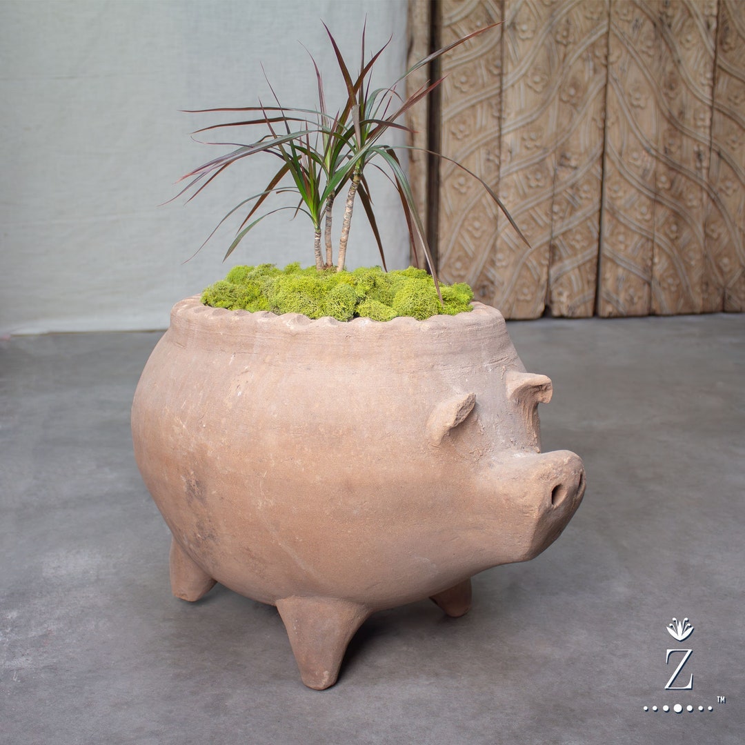 Pig Pot, Vintage Terracotta Planter - Etsy
