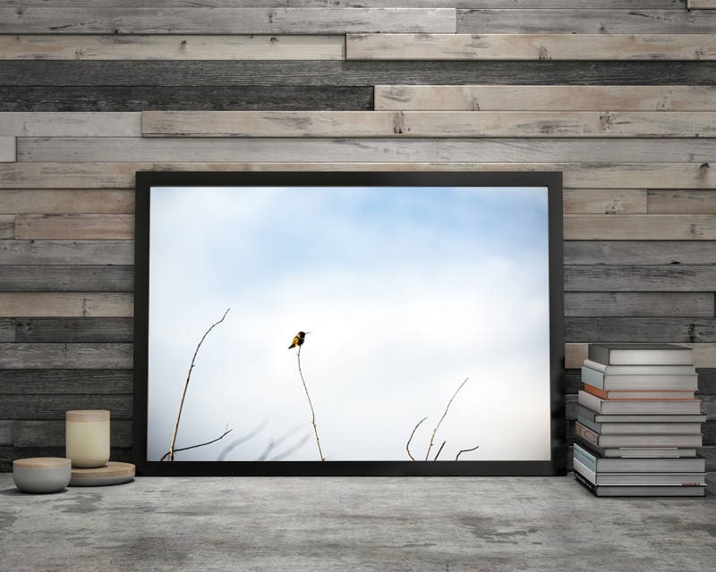 Photography Digital Download Nature Bird on a Wire Art Photography bird ...