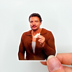 Pedro Pascal Sticker Pedro Meme Sticker Stickers for Water Bottle ...