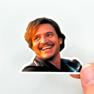 Pedro Pascal Sticker Bundle | Pedro Meme Sticker | Stickers for Water ...