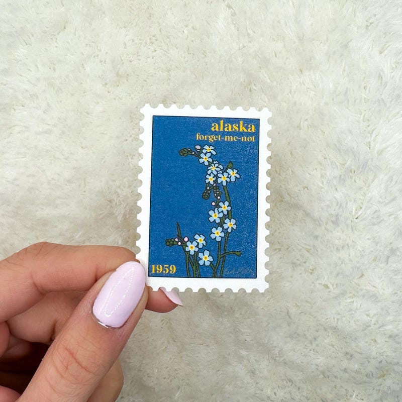 Alaska Forget Me Not - Etsy