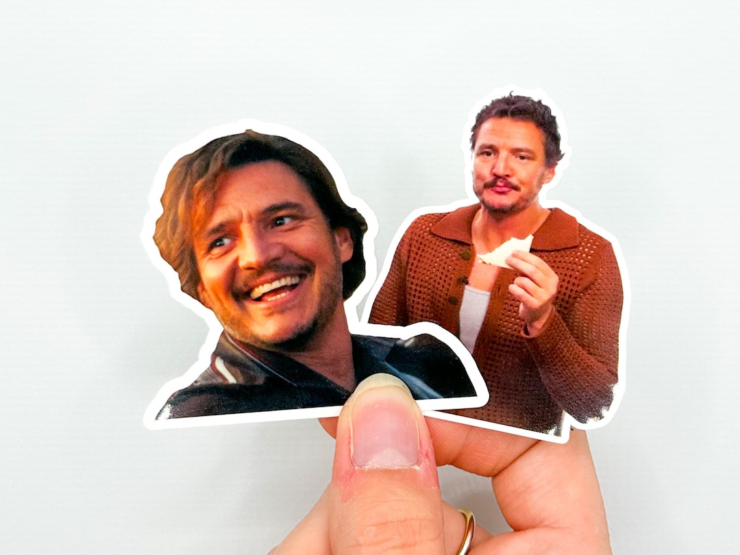 Pedro Pascal Sticker Bundle | Pedro Meme Sticker | Stickers for Water ...