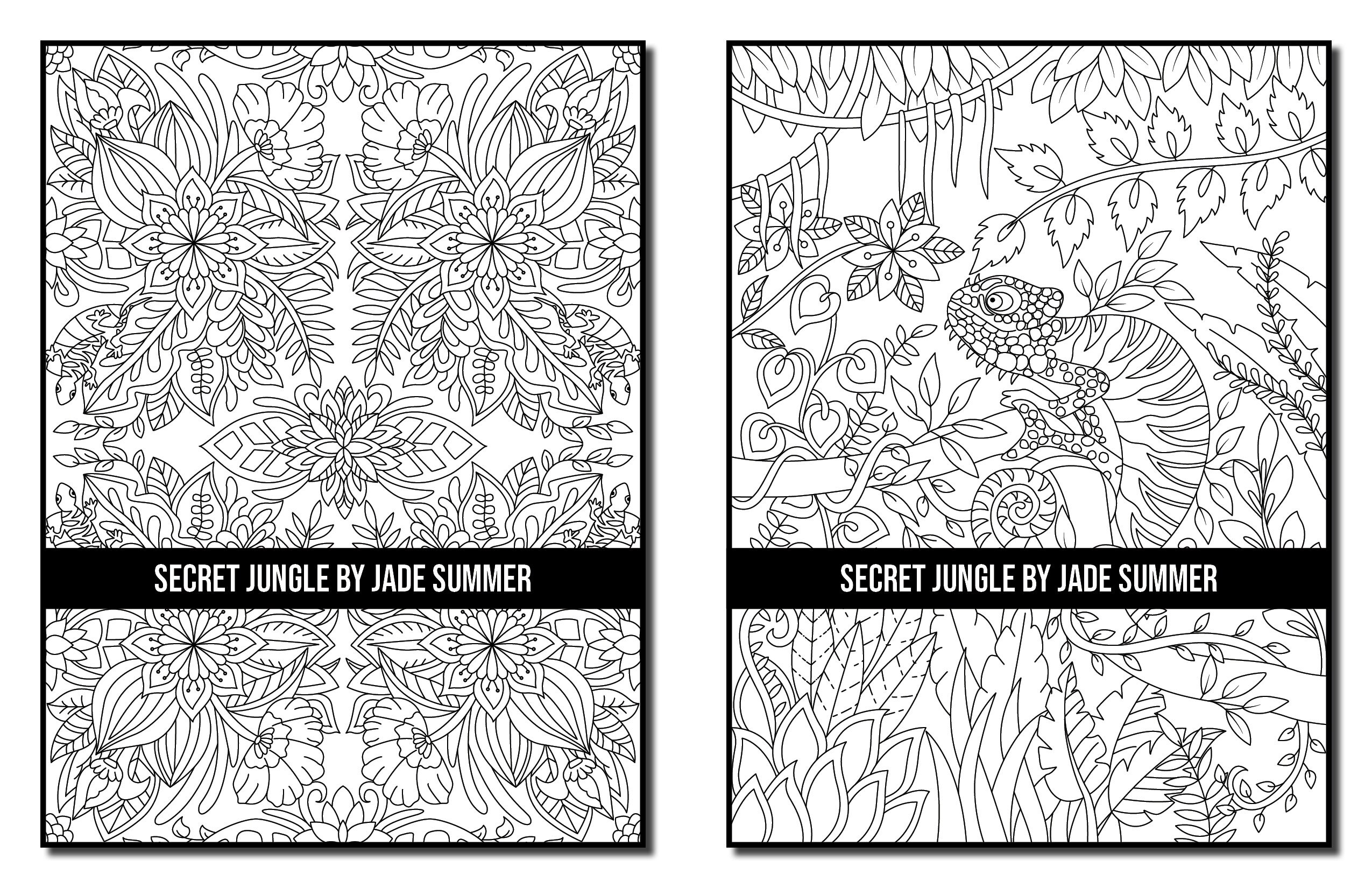 Animal Coloring Pages: Secret Jungle Adult Coloring Book by - Etsy