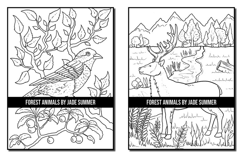 Animal Coloring Pages: Forest Animals Adult Coloring Book by - Etsy