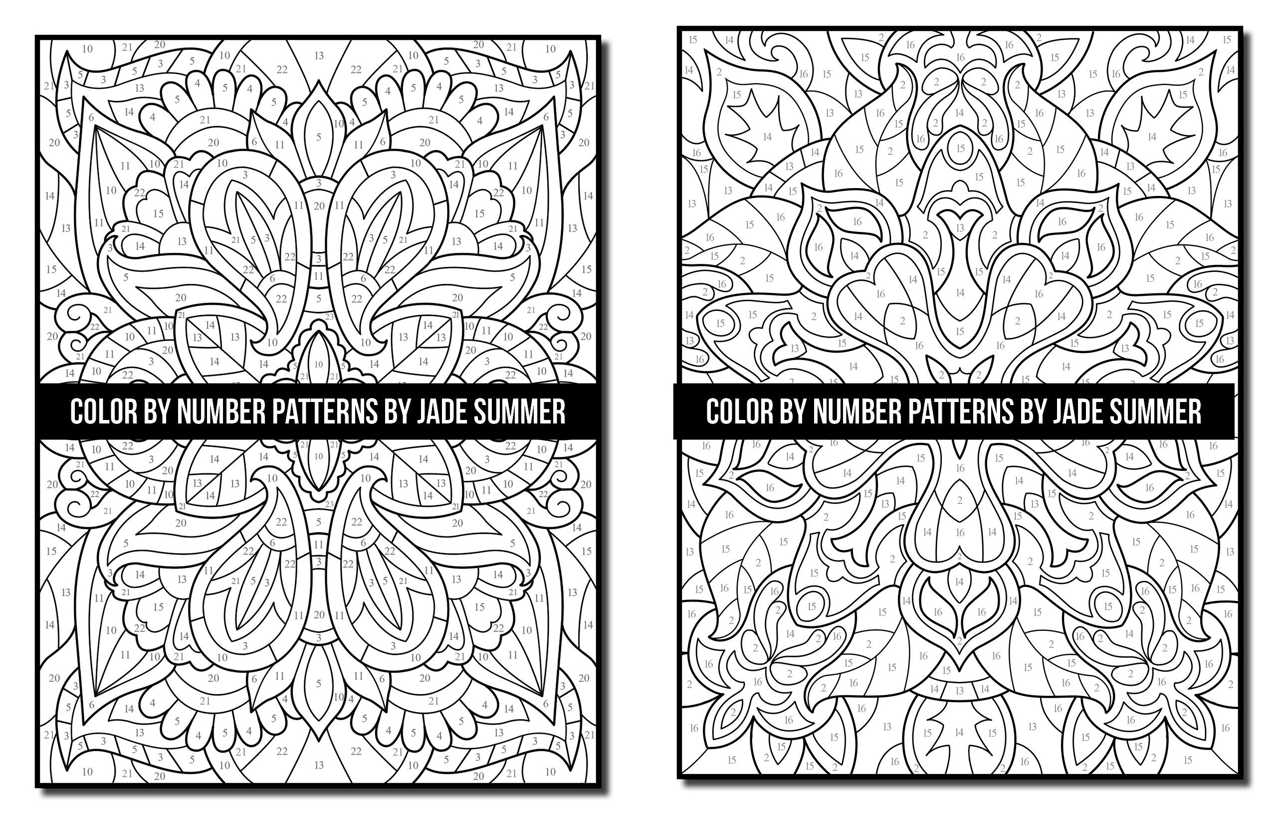 Color By Number Coloring Pages For Adults