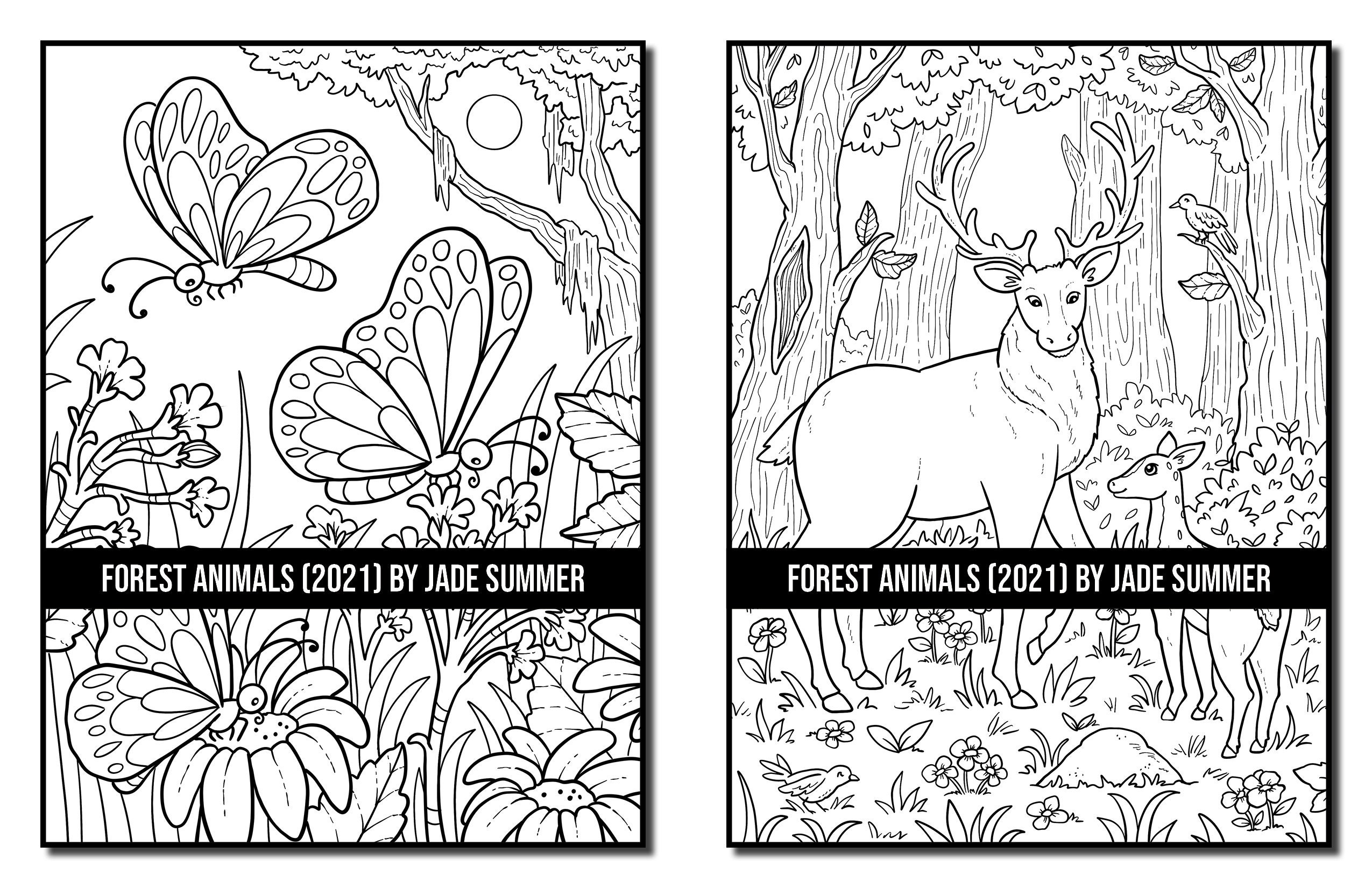 Animal Coloring Pages: Forest Animals 2021 Adult Coloring - Etsy