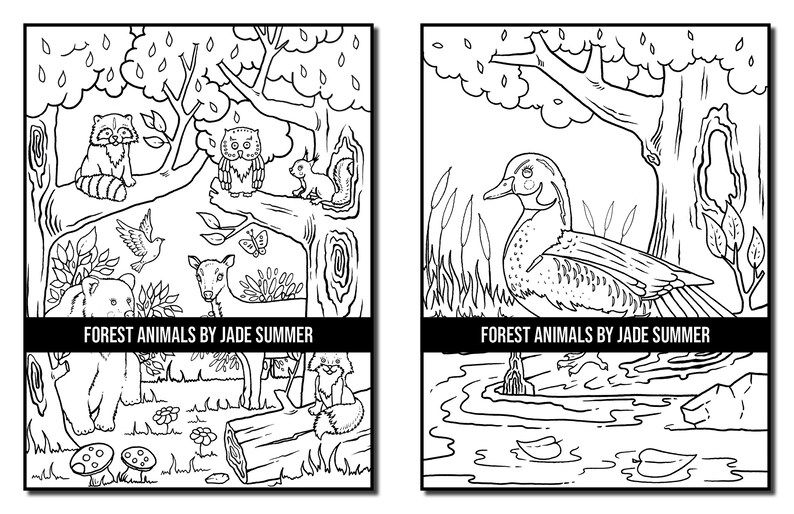 Animal Coloring Pages: Forest Animals Adult Coloring Book by - Etsy