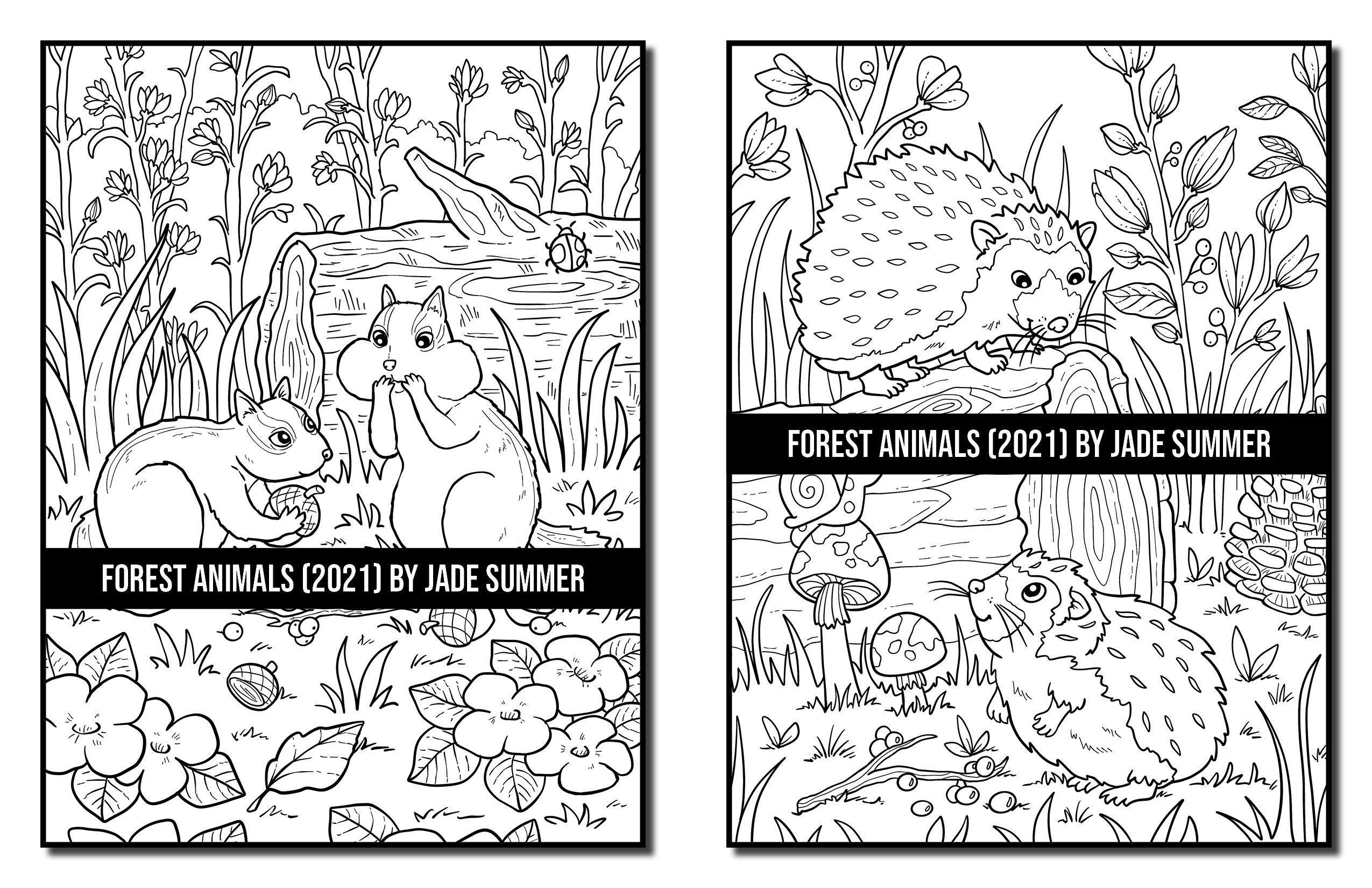 Animal Coloring Pages: Forest Animals 2021 Adult Coloring - Etsy