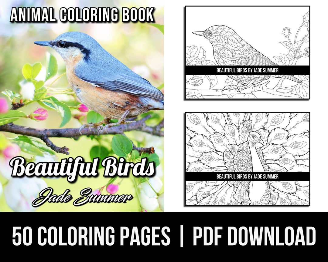 Animal Coloring Pages: Beautiful Birds Adult Coloring Book by Jade ...