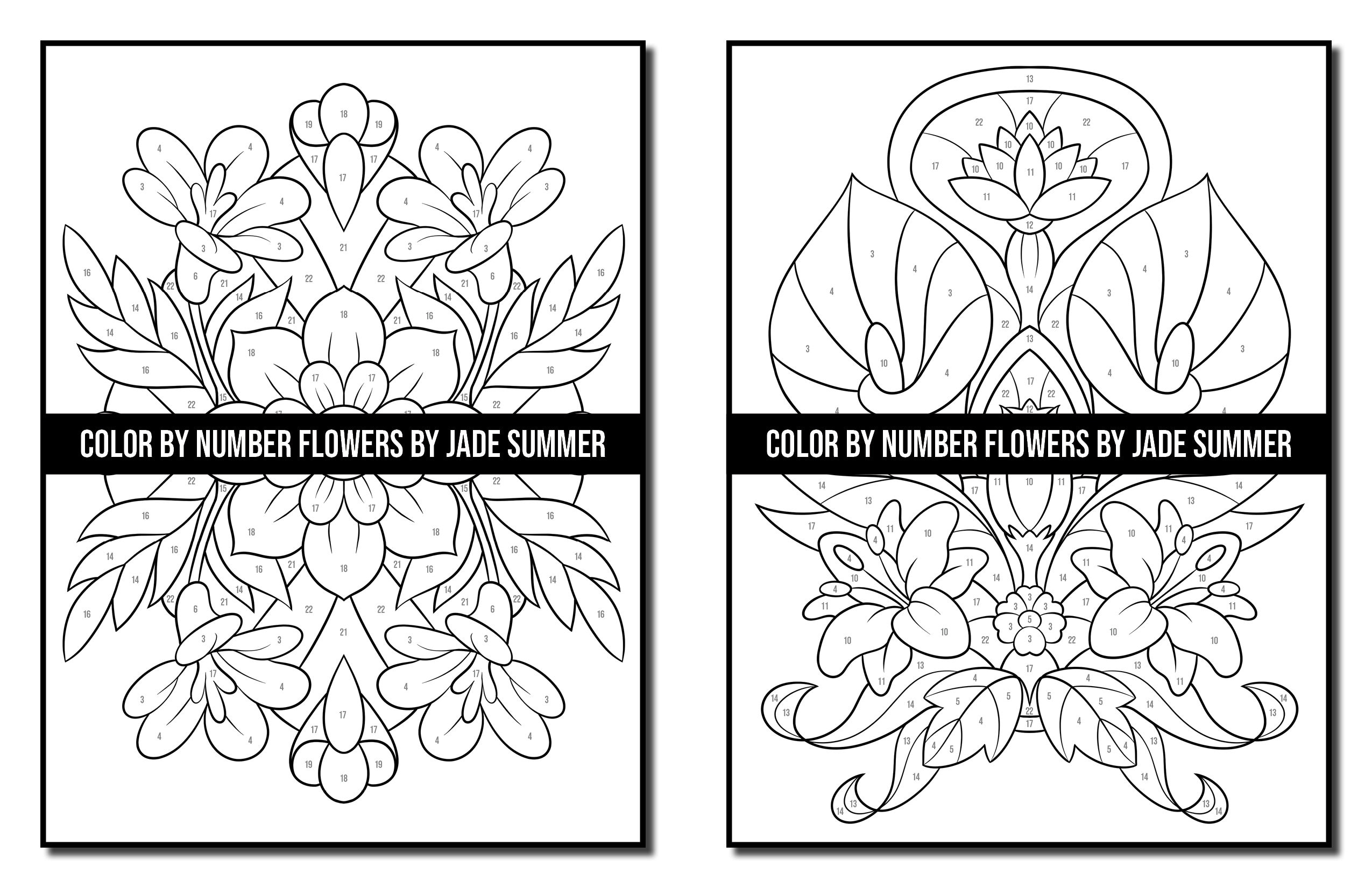 Color by Number Coloring Pages: Flowers Adult Coloring Book by - Etsy