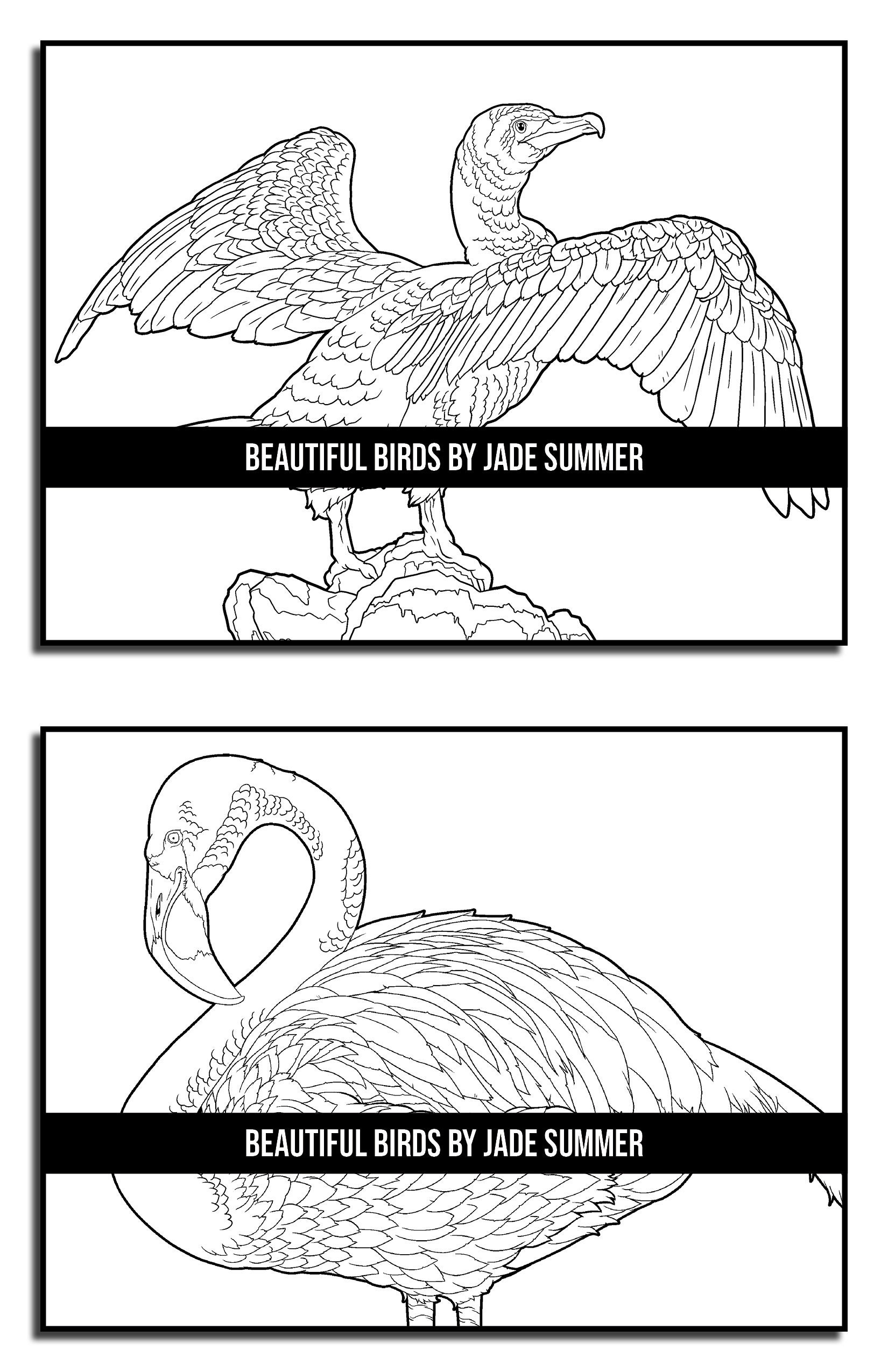 Animal Coloring Pages: Beautiful Birds Adult Coloring Book by - Etsy