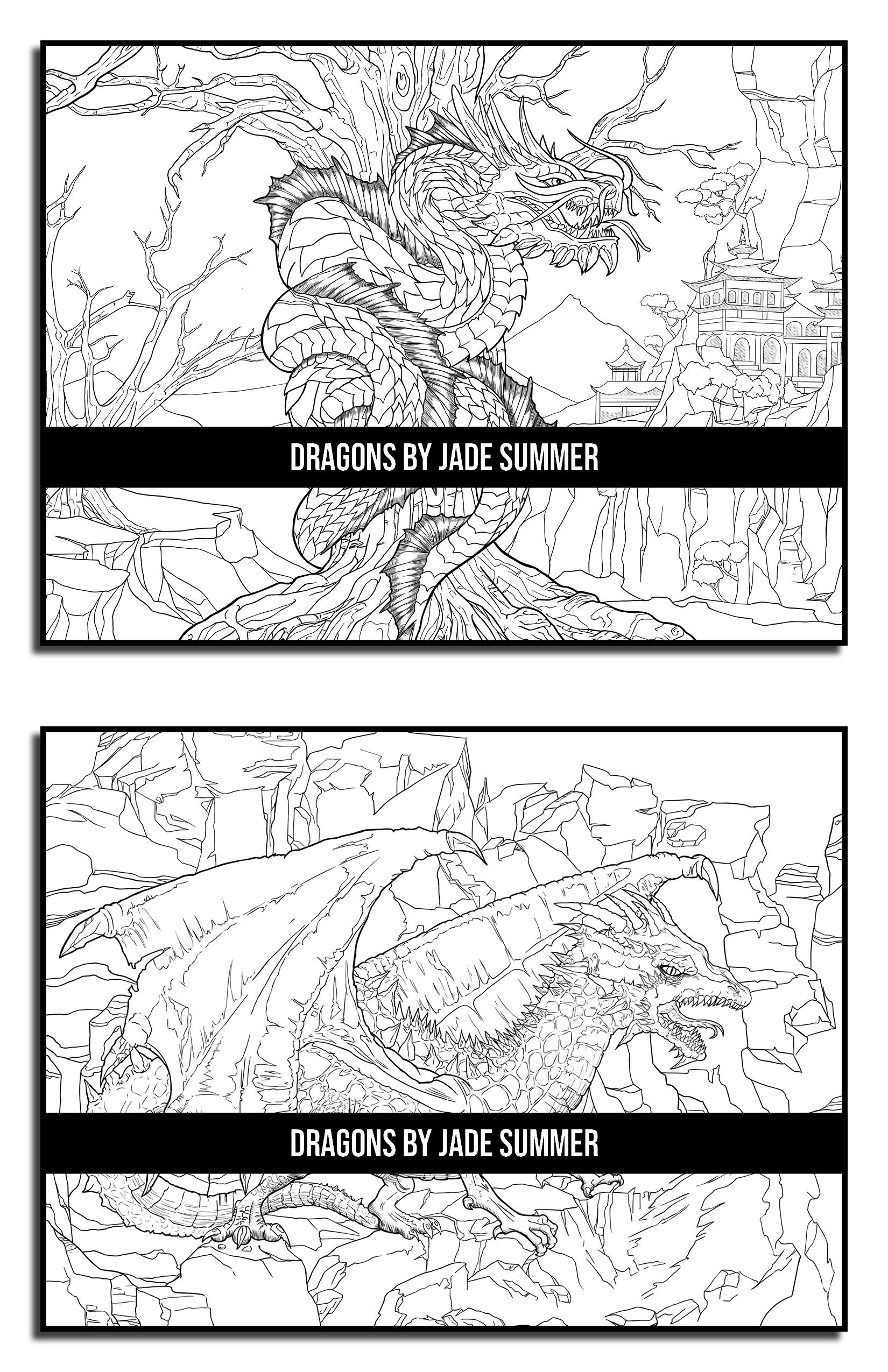 Fantasy Coloring Pages: Dragons Adult Coloring Book by Jade - Etsy