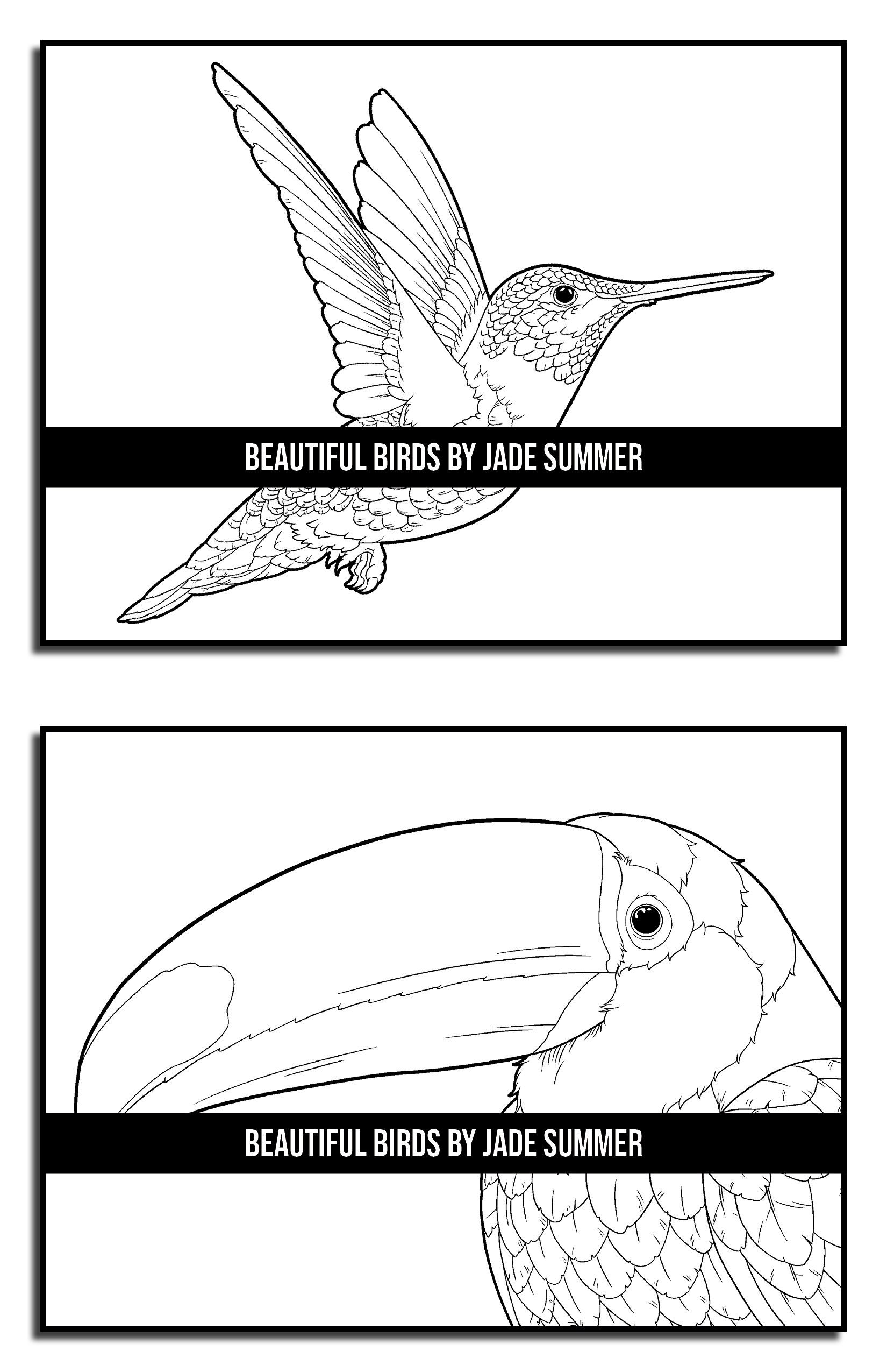 Animal Coloring Pages: Beautiful Birds Adult Coloring Book by - Etsy