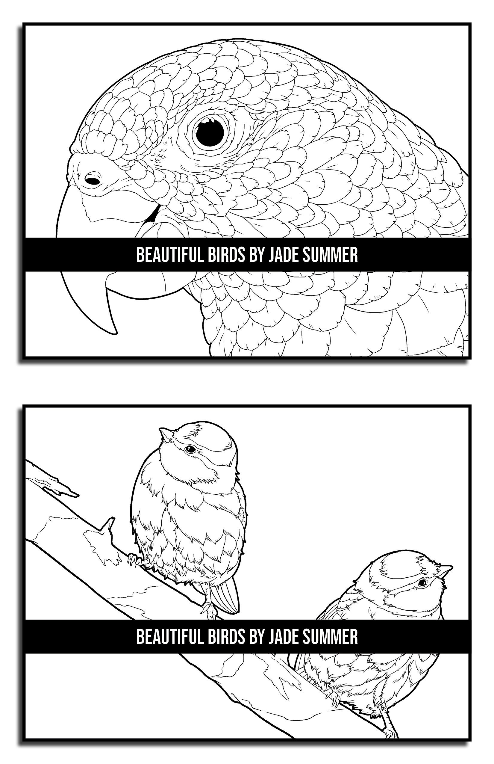 Animal Coloring Pages: Beautiful Birds Adult Coloring Book by - Etsy