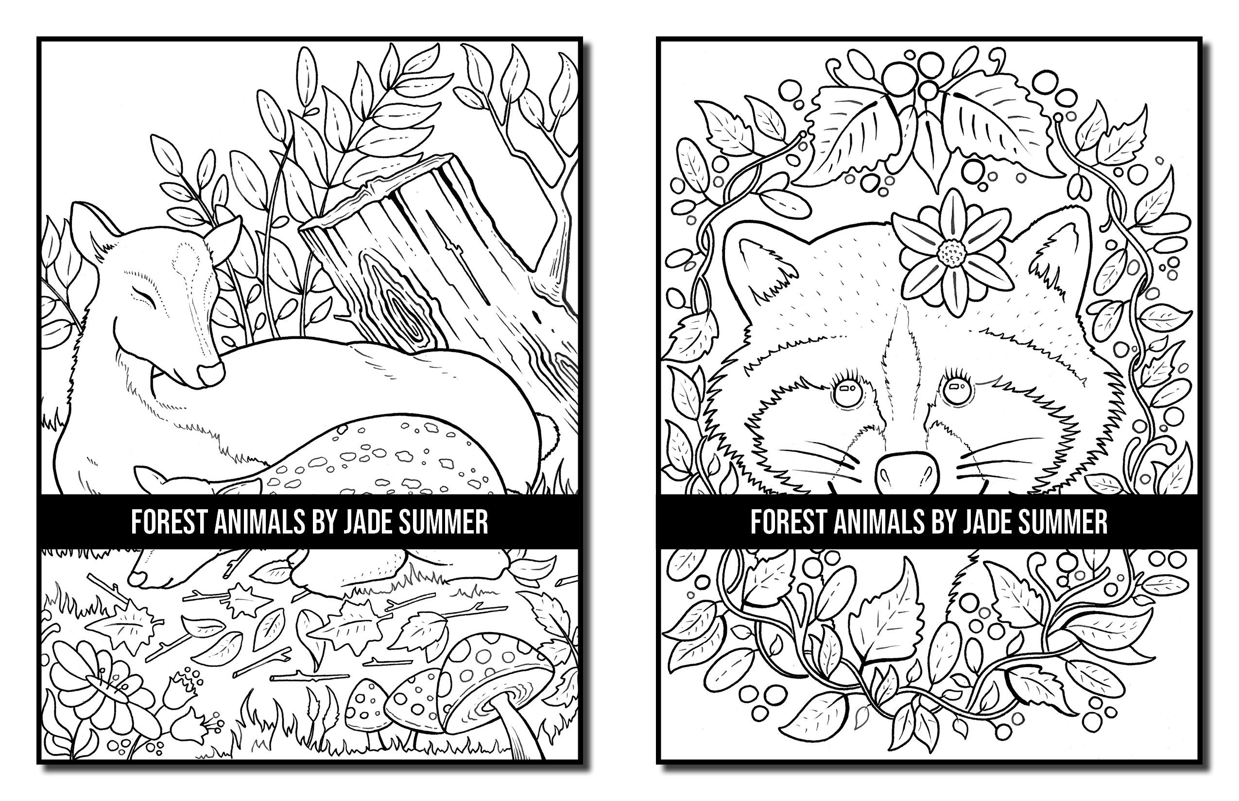 Animal Coloring Pages: Forest Animals Adult Coloring Book by - Etsy