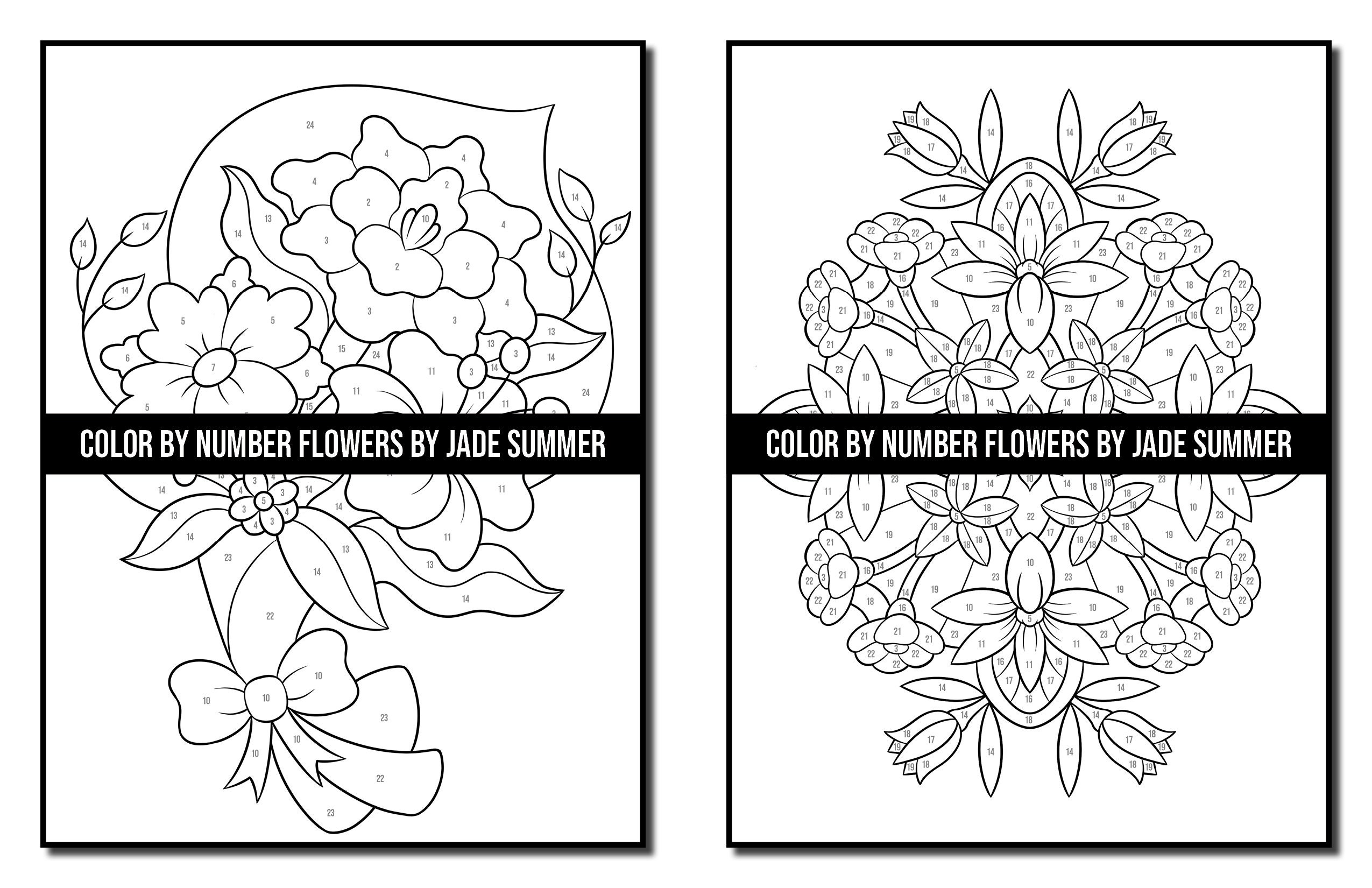Color by Number Coloring Pages: Flowers Adult Coloring Book by - Etsy