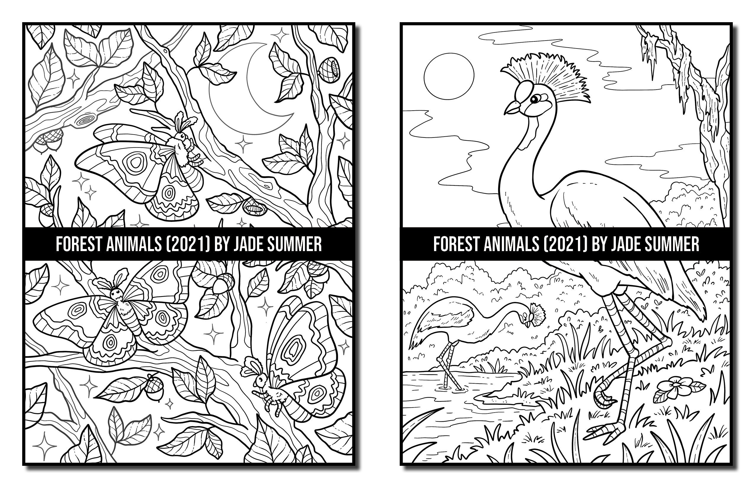 Animal Coloring Pages: Forest Animals 2021 Adult Coloring - Etsy