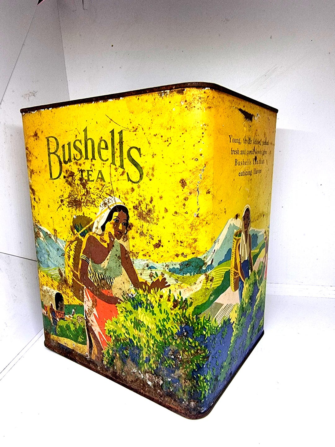 Large Vintage Australian BUSHELLS TEA TIN - Tea Pickers - C1920's - Art ...